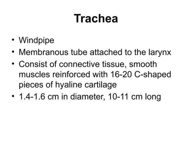8. Respiratory System anatomy and physiology.pptx