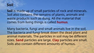8.1 Rocks, Mineral and Soils for science | PPT