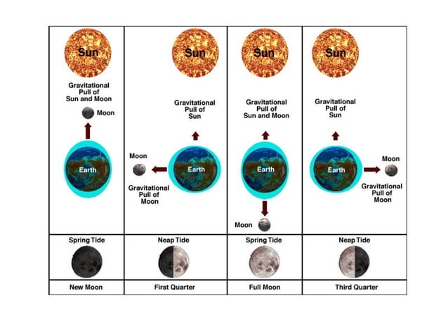 Materi Pasang Surut Air Laut untuk Mata Kuliah Dasar Oseanografi | PPT