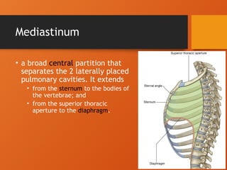 The heart ,pericardium, and coronary vessels.ppsx