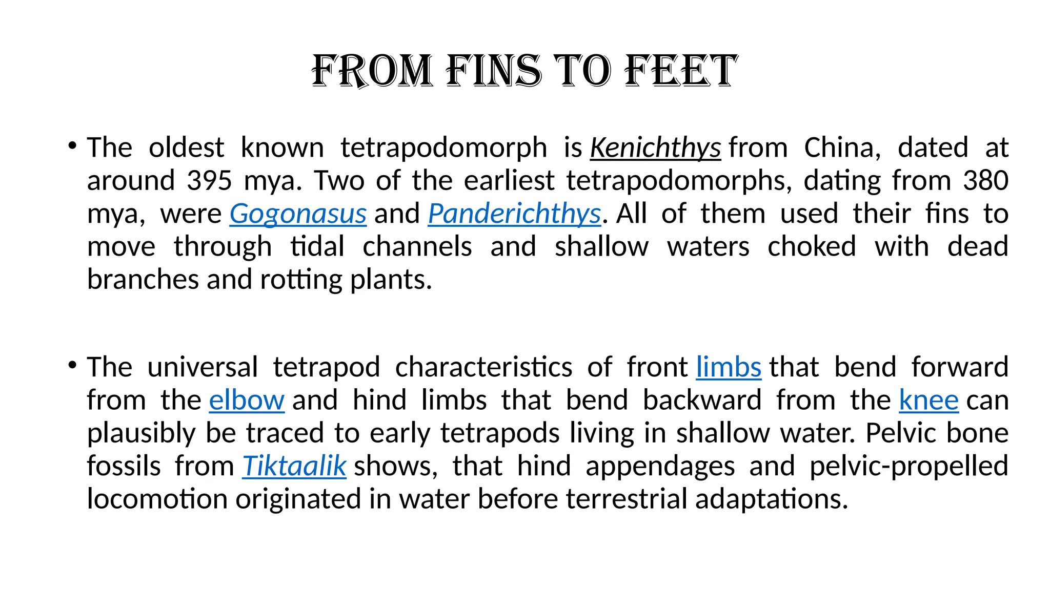 8. Origin and characteristics of tetrapods.pptx