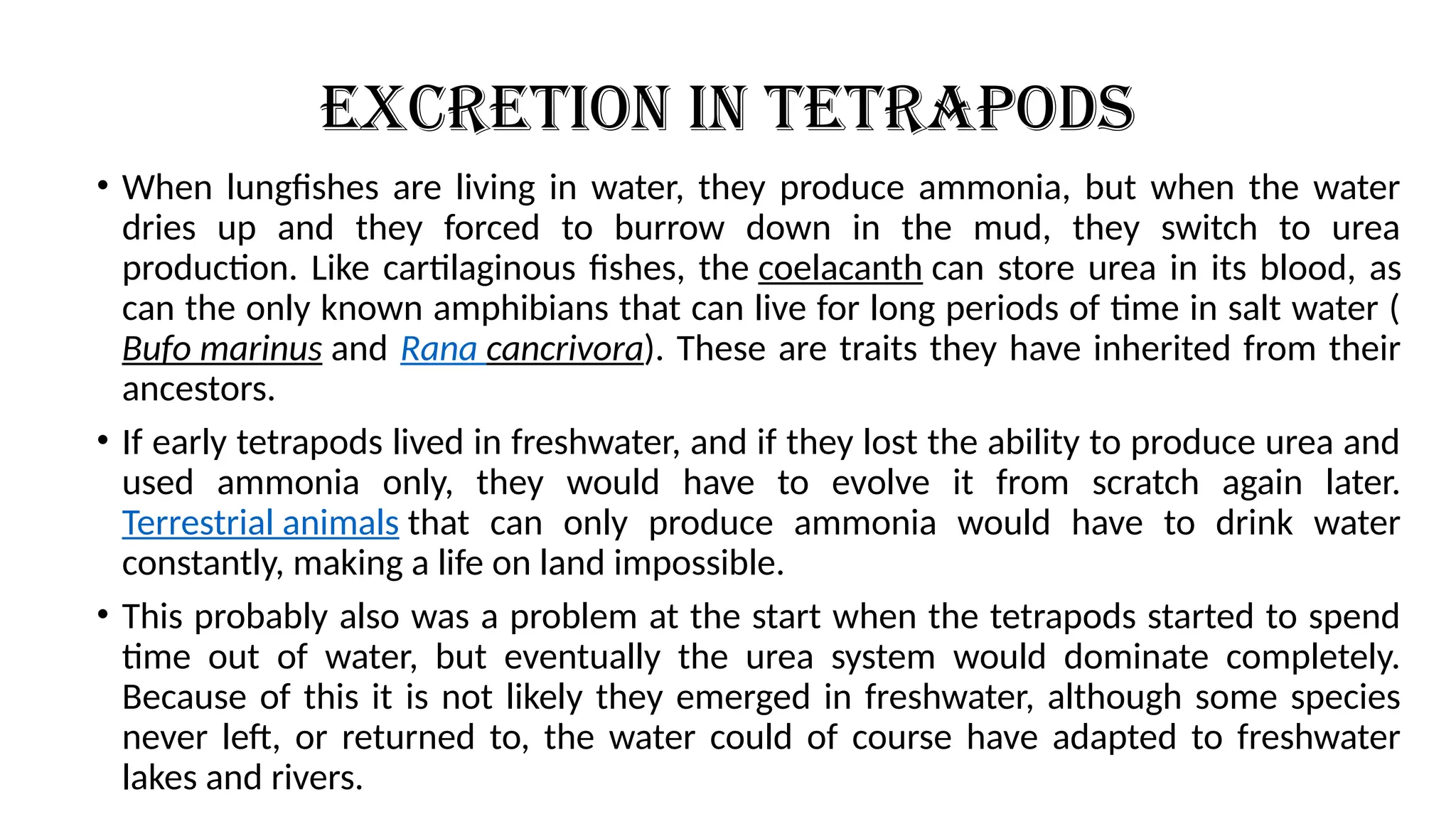 8. Origin and characteristics of tetrapods.pptx