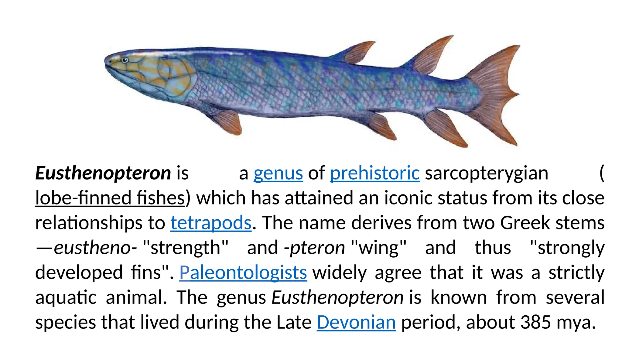 8. Origin and characteristics of tetrapods.pptx