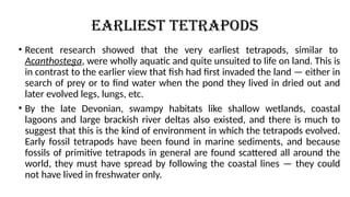8. Origin and characteristics of tetrapods.pptx