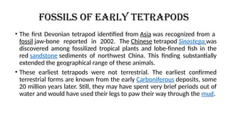 8. Origin and characteristics of tetrapods.pptx