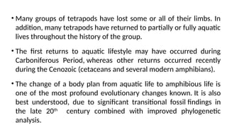 8. Origin and characteristics of tetrapods.pptx