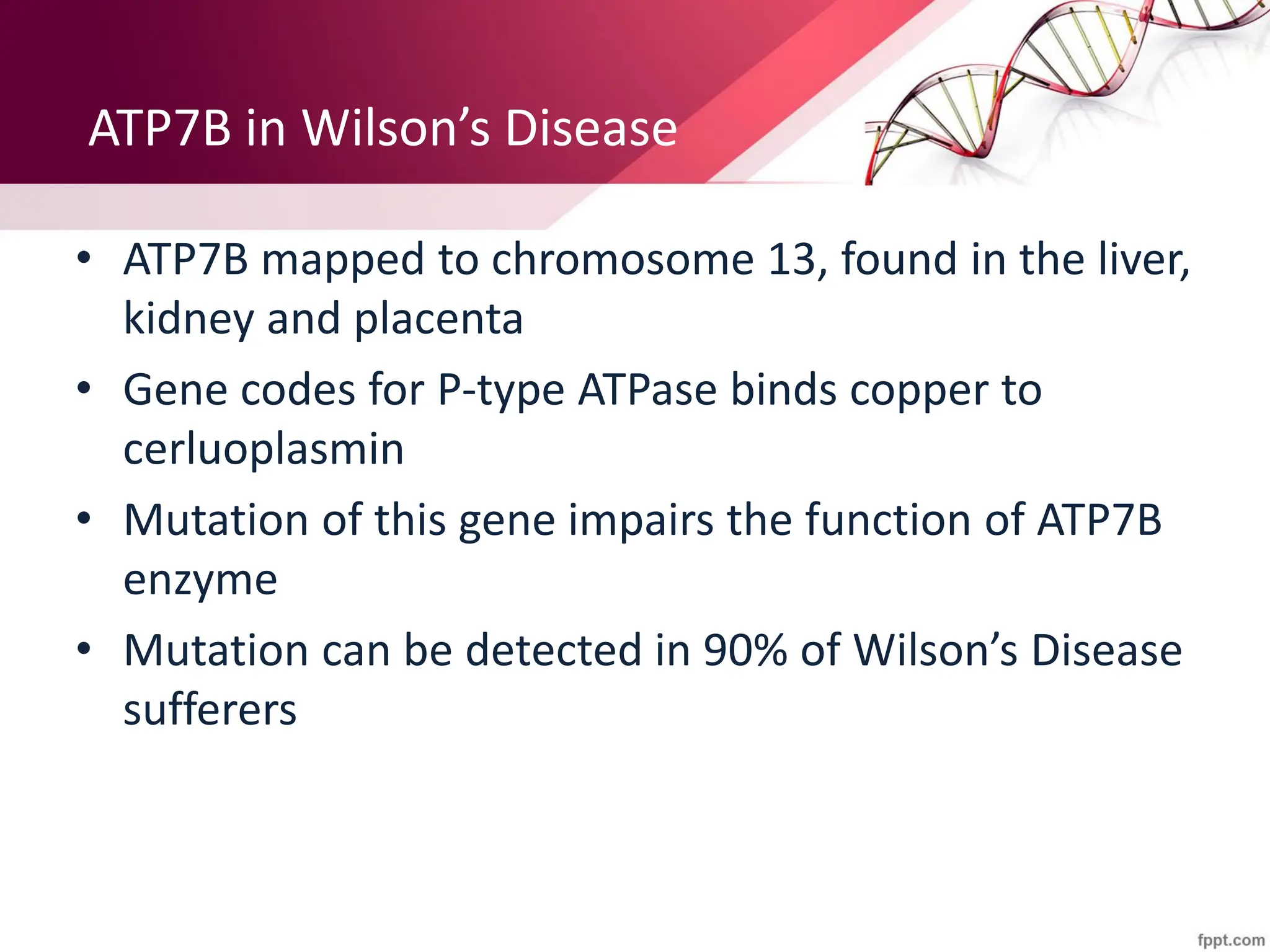 Wilson Disease - pathology, signs and symptoms | PDF