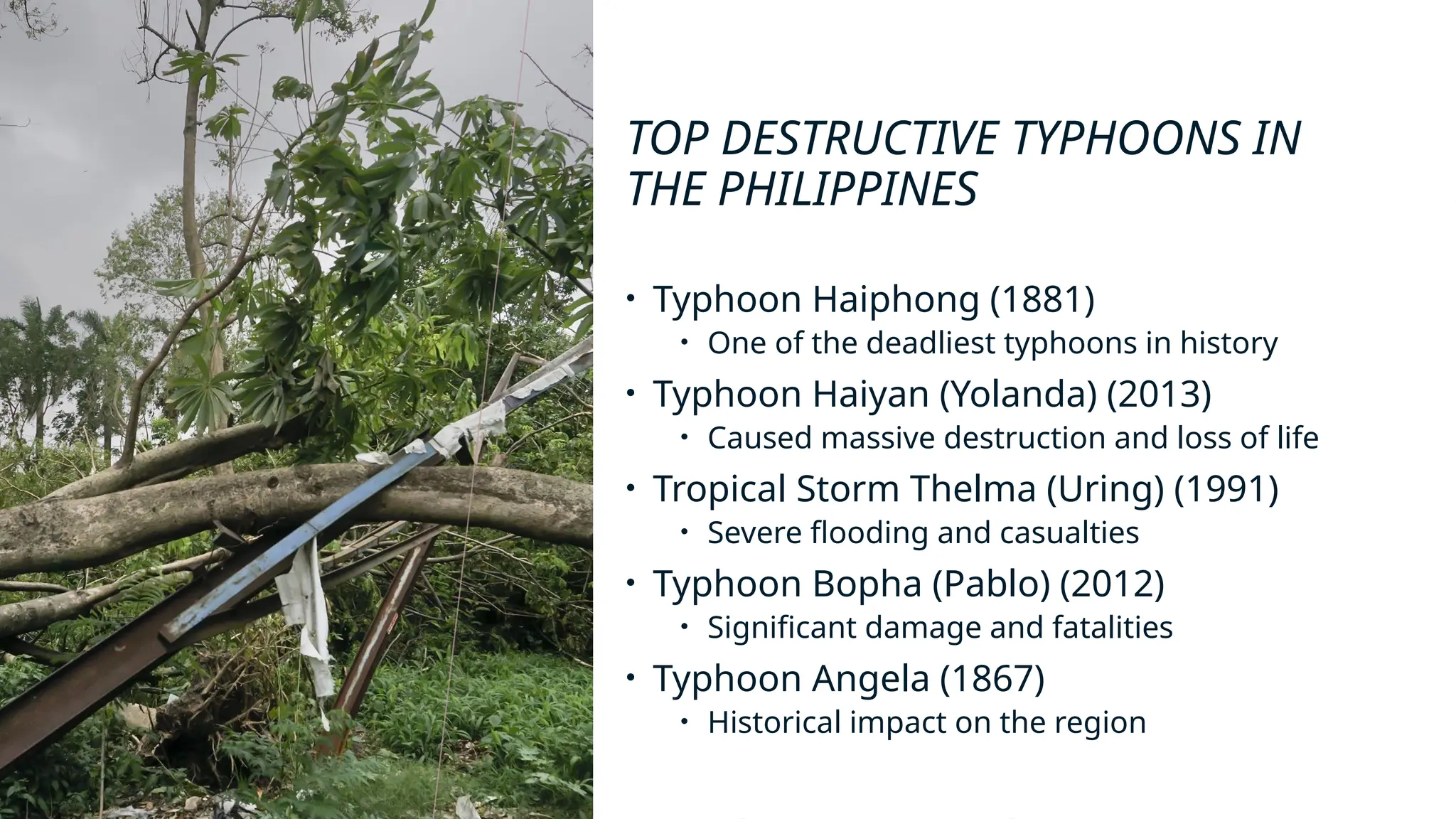 8. Hydrometeorological and Coastal Hazards in the Philippines.pptx