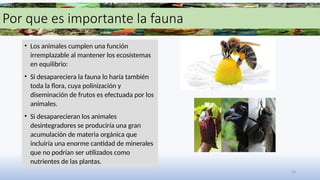 8 . Importancia de las plantas y animales silvestres..pptx