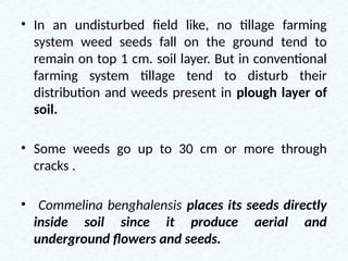 Propagation of weeds in the field weed science | PPTX