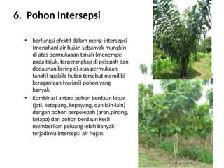 Pengelolaan Lingkungan Hidup dan Analisis Mengenai Dampak Lingkungan | PPTX
