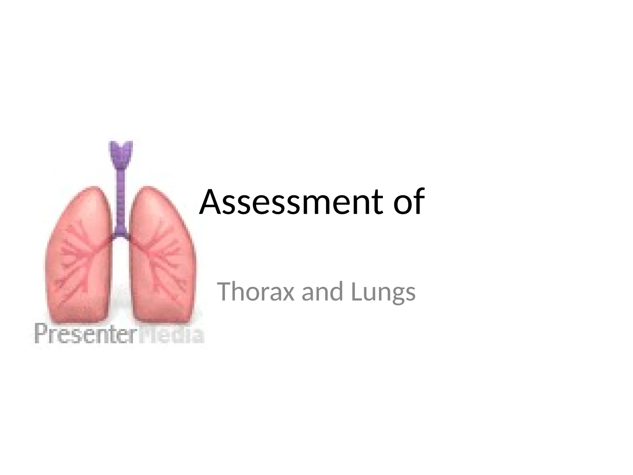 Health assessment - Thorax and lungs Nursing | PPTX