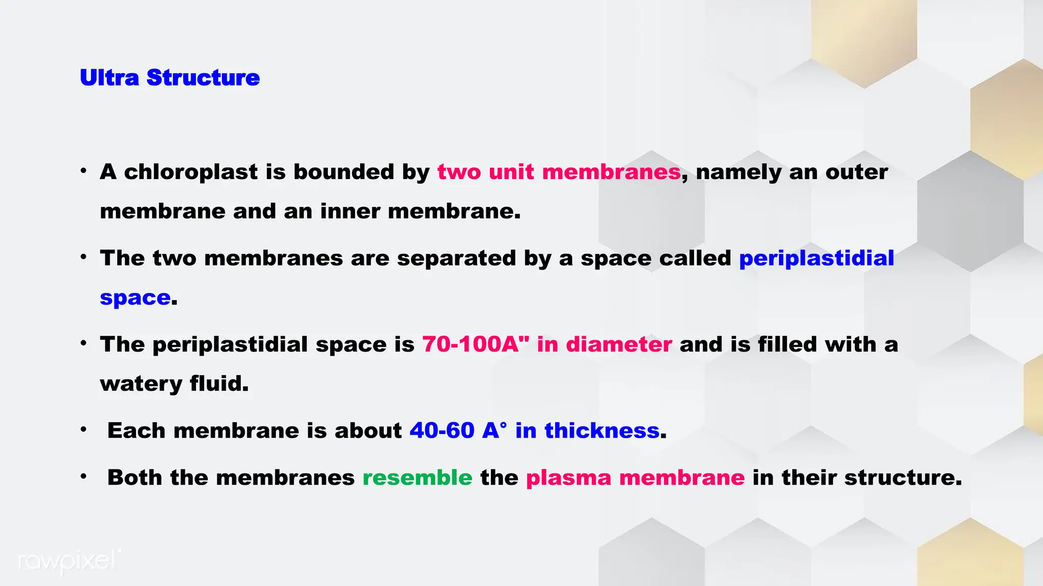 8. Chloroplast.pptx Cell and Molecular Biology | PPTX