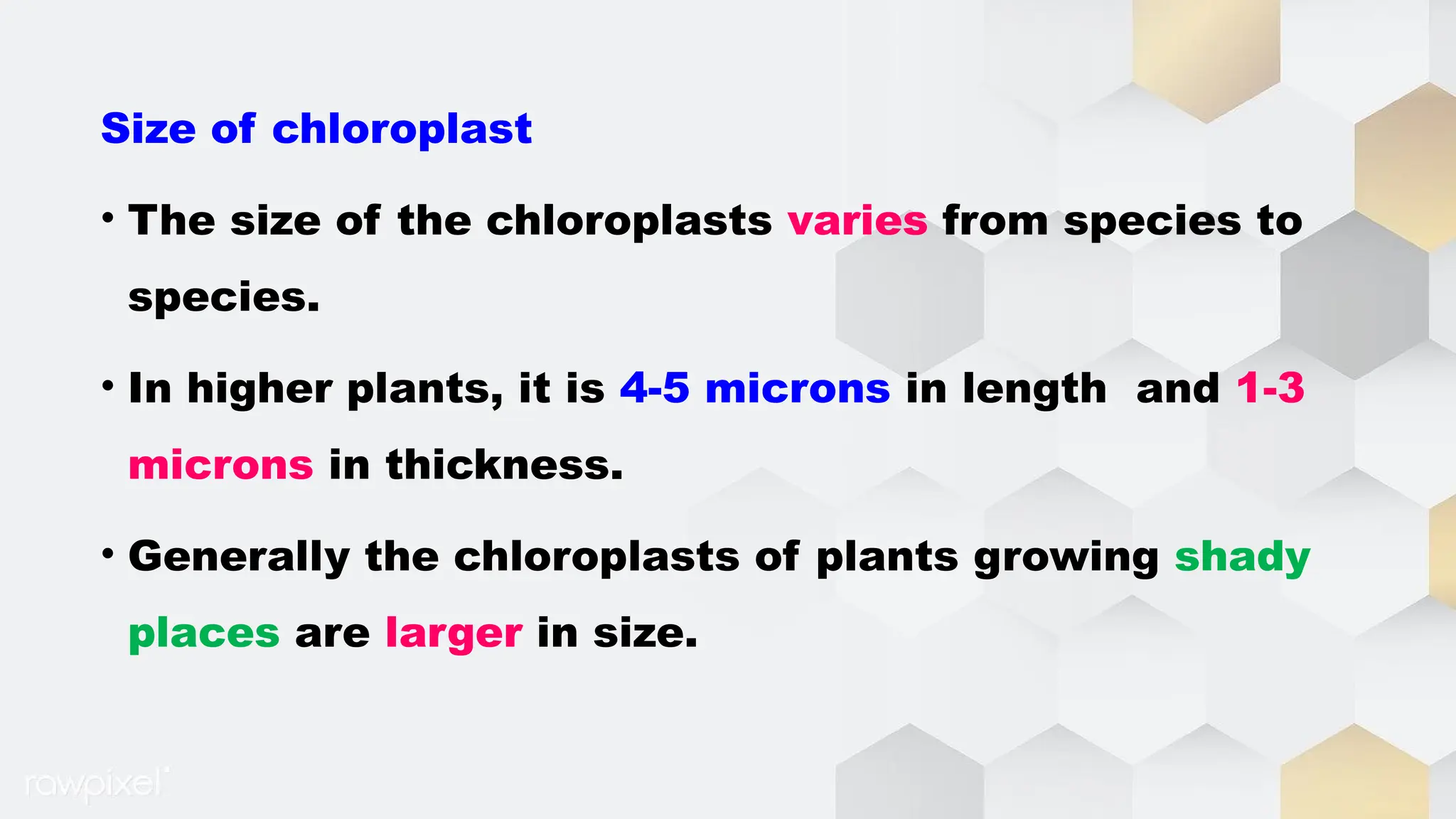 8. Chloroplast.pptx Cell and Molecular Biology | PPTX