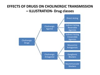 8. Cholinergic agonists and anticholinergics.pdf