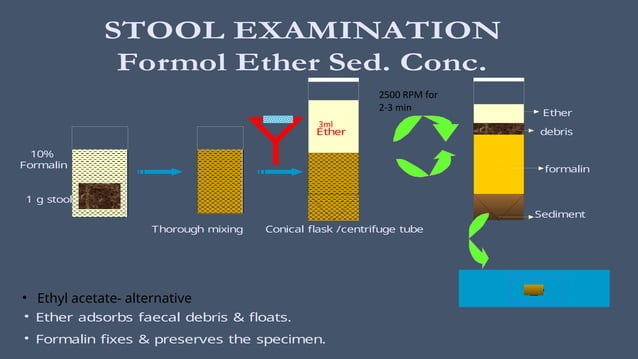8. Stool Examination Theory and Demo.ppt