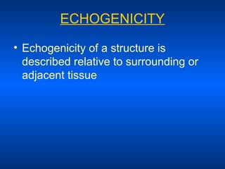 8. ULTRASOUND TERMINOLOGIES IN ULTRASONOGRAPHY.ppt
