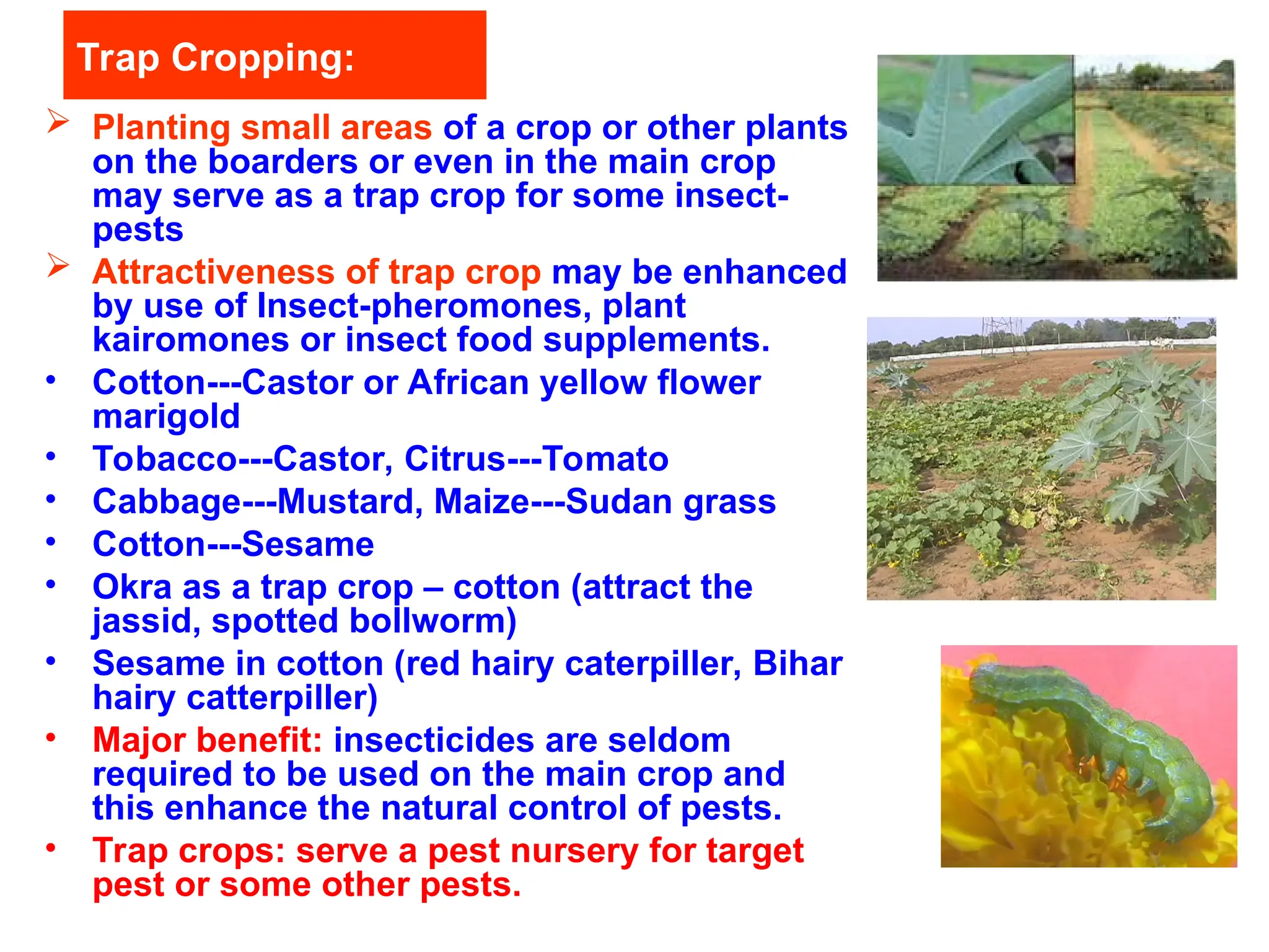 IPM tools for integrated pest management .ppt