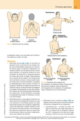 8.- Cintura escapular traumatología y ortopedia | PDF