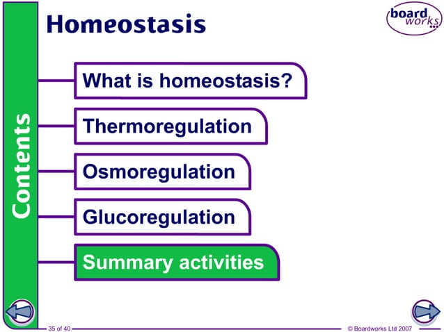 8. Homeostasis v1.0.ppt boardworks powerpoint | PPT