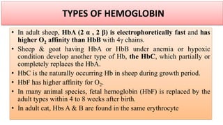 8. Physiological functions and derivatives of hemoglobin.pdf