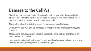8. Atypical Cell Wall in Bacterial cells.pptx