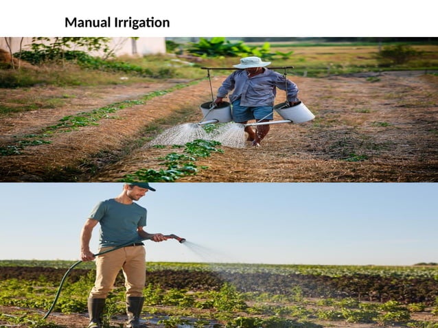 Methods of Irrigation for horticultural crops | PPTX