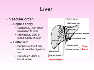 LIVER & Ga. Bladder anatomy and phy .ppt
