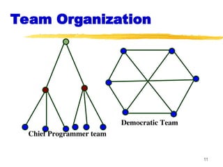 ORGANIZATION AND TEAM STRUCTURE IN SOFTWARE INDUSTRY | PPT