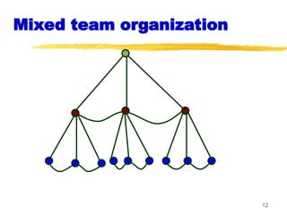 ORGANIZATION AND TEAM STRUCTURE IN SOFTWARE INDUSTRY | PPT
