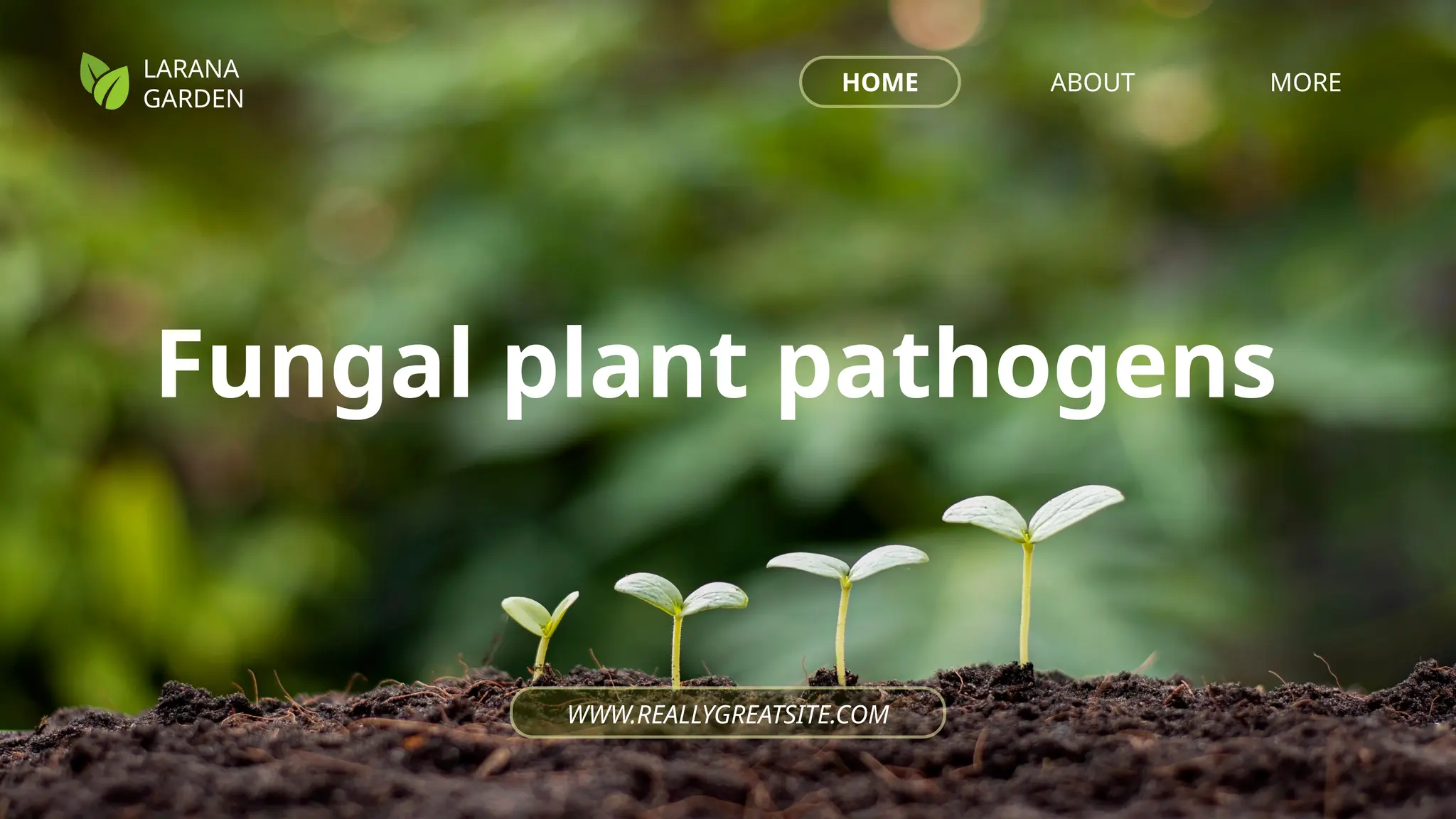 8.-Fungal-plant-pathogens.pptxddfufufufu | PPTX