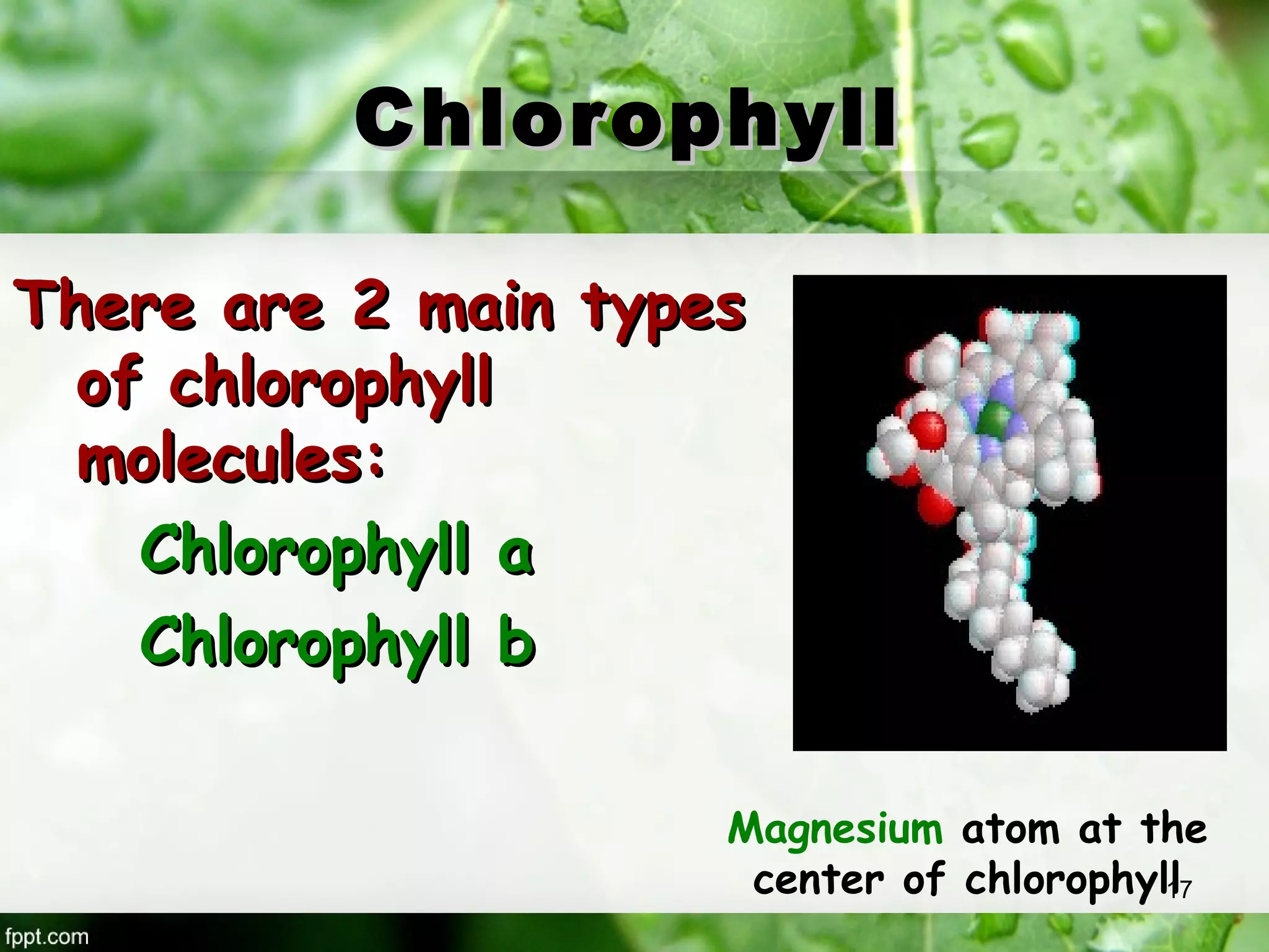 8-2 photosynthesis an overview | PPT