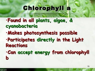 8-2 photosynthesis an overview | PPT