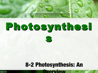 8-2 photosynthesis an overview | PPT