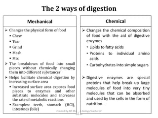 8 3. digestive system | PPTX