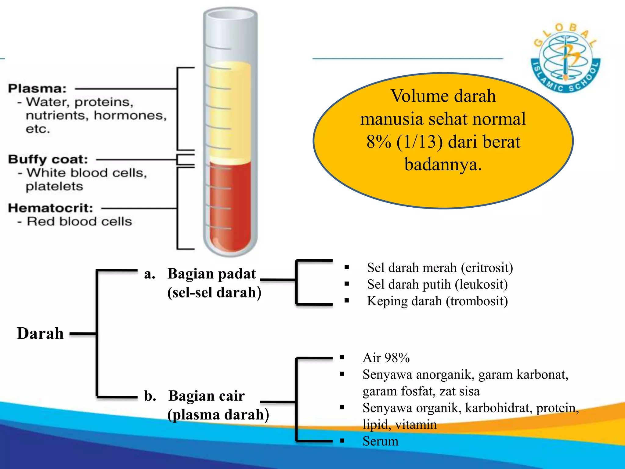 8 5. sistem peredaran darah | PPTX