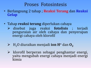 8 7. fotosintesis | PPTX