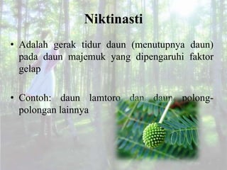 8 8. gerak pada tumbuhan | PPTX
