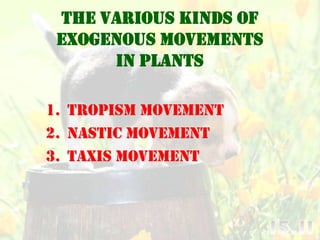 8 8. movement in plant | PPTX