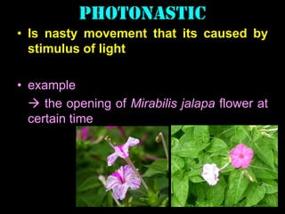 8 8. movement in plant | PPTX