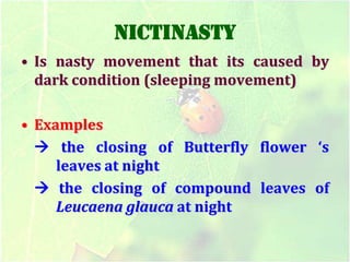 8 8. movement in plant | PPTX