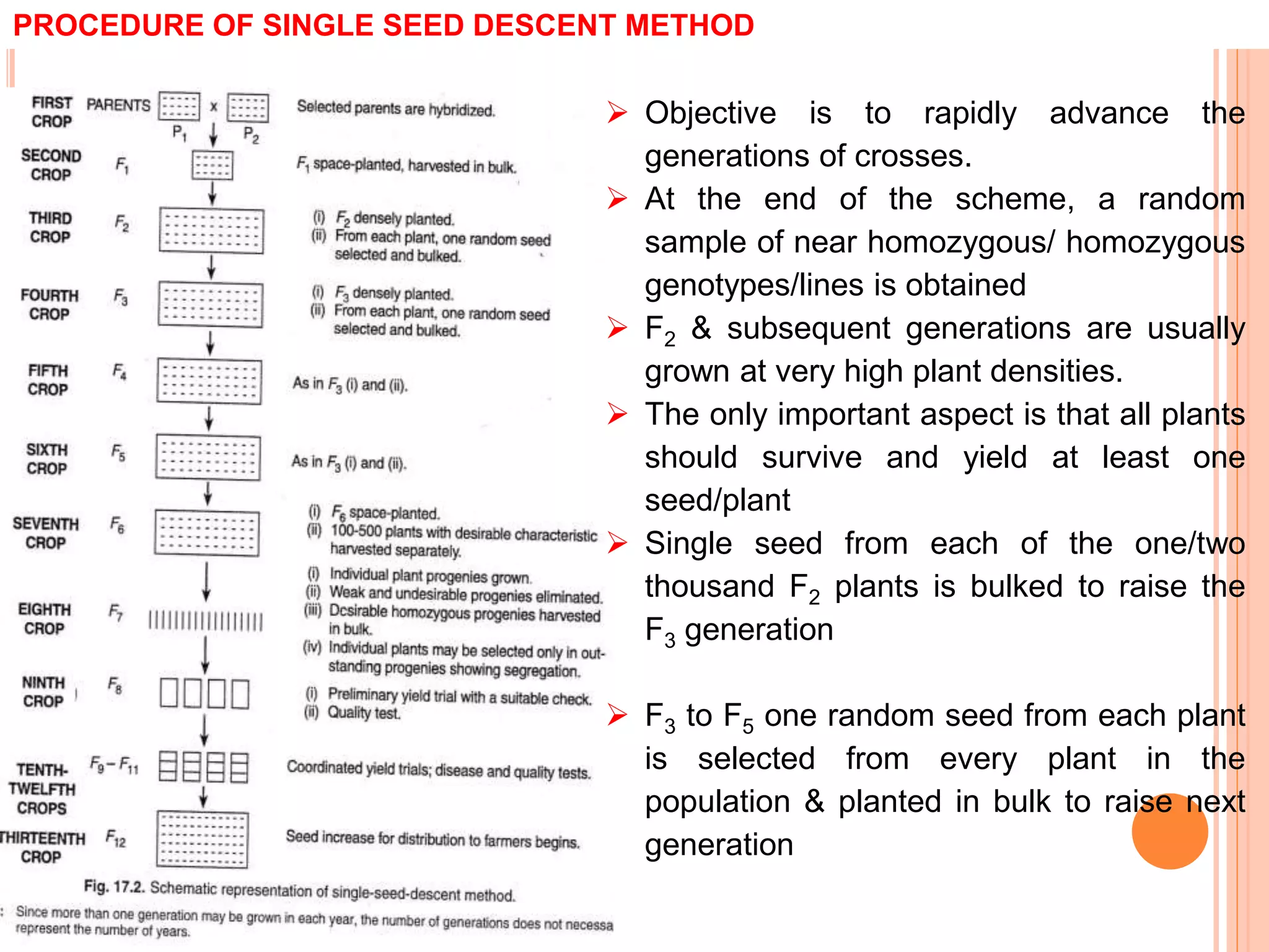 Pedigree and bulk SSD | PPT