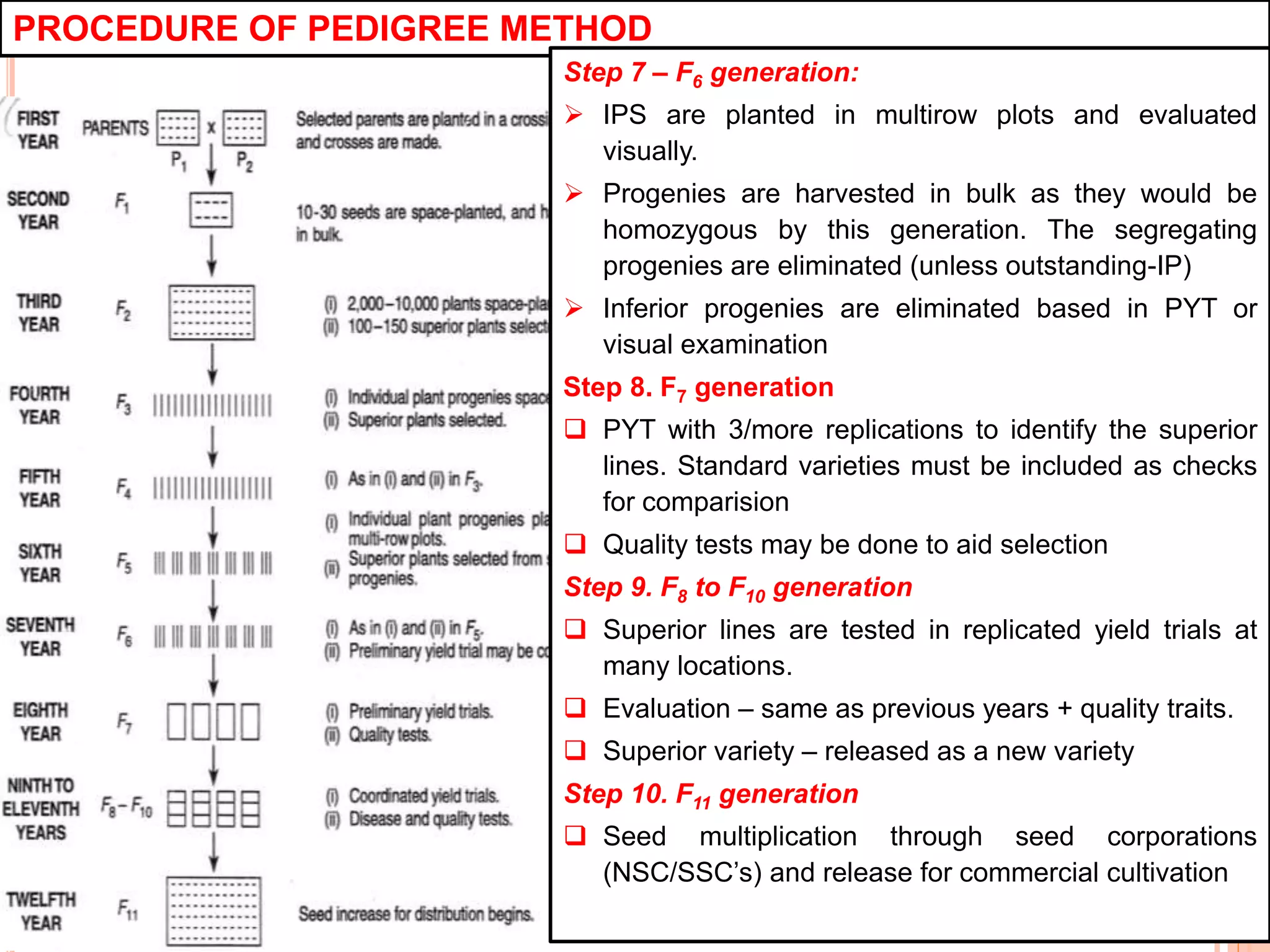 Pedigree and bulk SSD | PPT