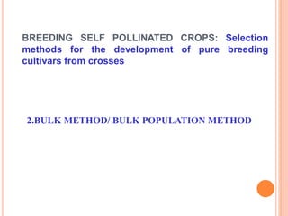 Pedigree and bulk SSD | PPT