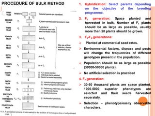 Pedigree and bulk SSD | PPT