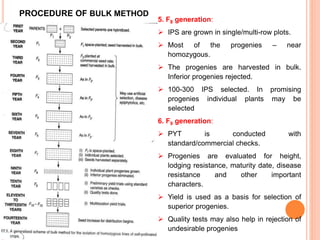 Pedigree and bulk SSD | PPT