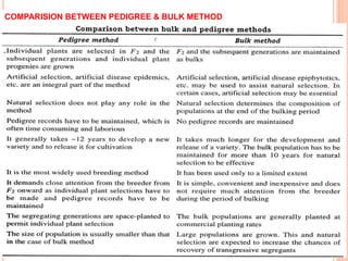 Pedigree and bulk SSD | PPT