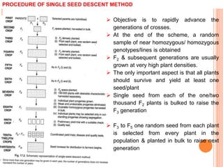 Pedigree and bulk SSD | PPT