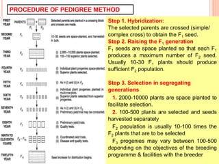 Pedigree and bulk SSD | PPT