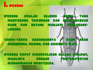 8 9. hama & penyakit pada tanaman | PPTX